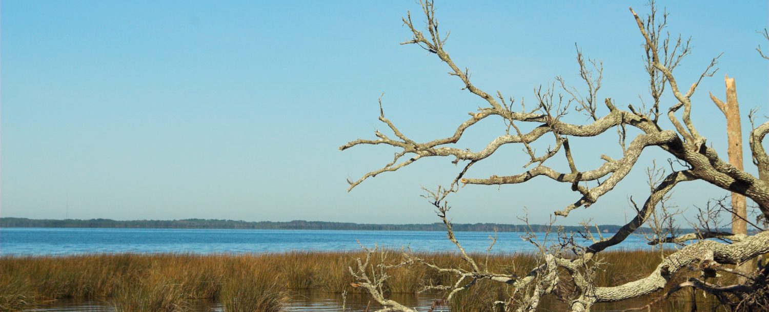 Sandy Run Park is One of the Best Kept Secrets | Shoreline OBX