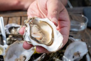 Outer Banks in October: Weather, Festivals & Prime Fishing | Shoreline ...